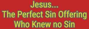 Jesus The Perfect Sin Offering Who Knew no Sin - Eternal Evangelism